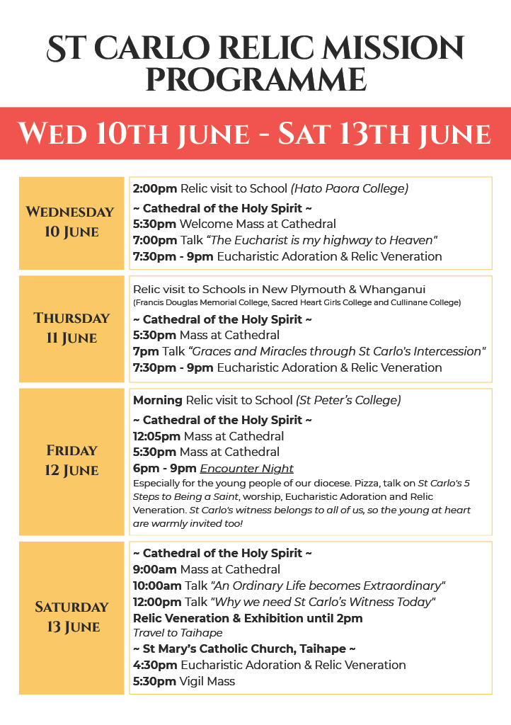 St Carlo Acutis: An Invitation for Our Diocese - Tūmanako
