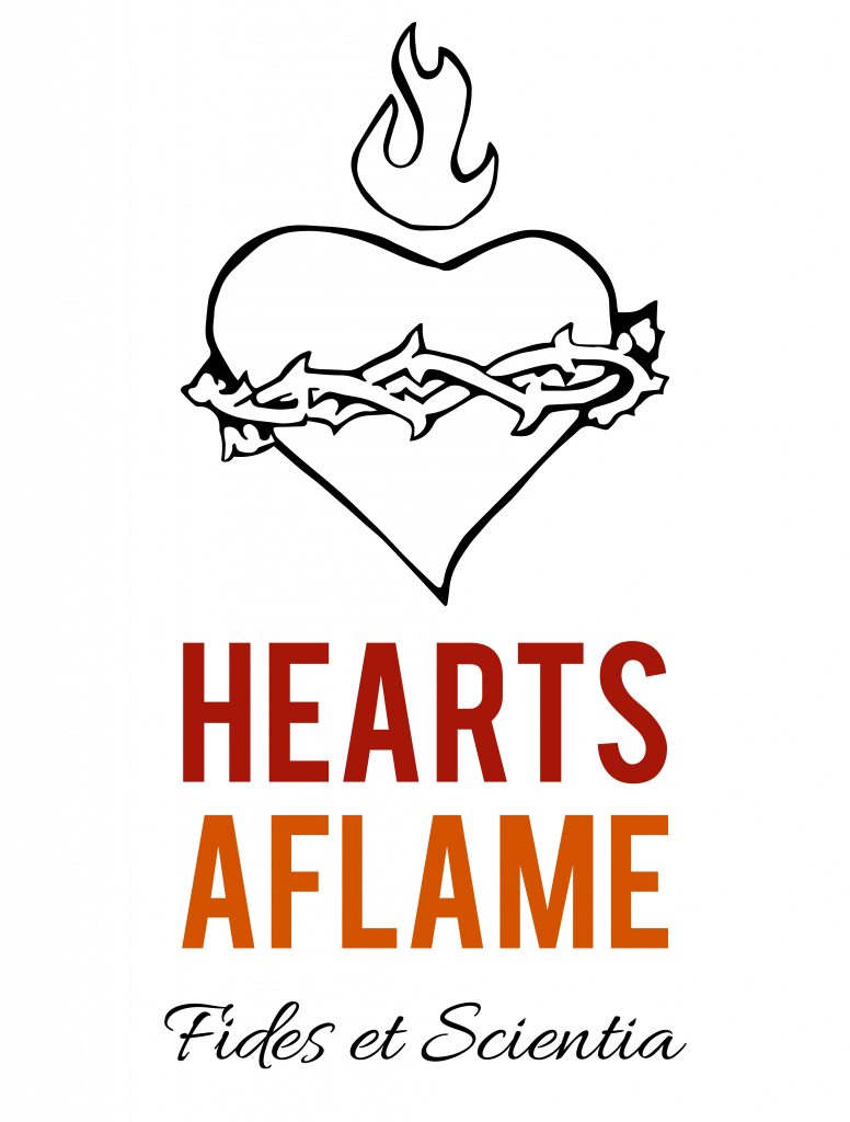 Register for Hearts Aflame Catholic Summer School | Diocese of ...